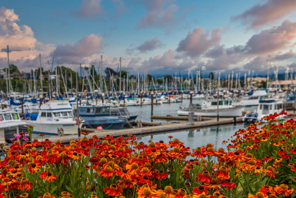 Moving to Washington State: 6 Things to Know + Pros & Cons