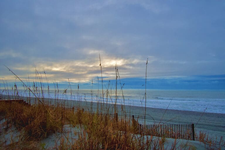 Living in Myrtle Beach: 7 Things to Know Before Move
