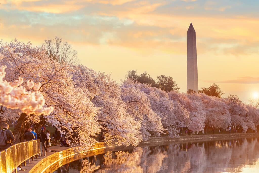 Living in Washington, D.C.: 9 Things To Know Before Moving